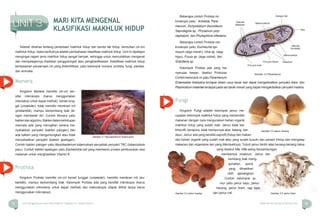 Modul 2 IPA Paket B Makhluk dan Benda di Sekitar Kita.pdf