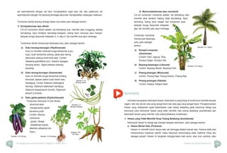 Modul 2 IPA Paket B Makhluk dan Benda di Sekitar Kita.pdf