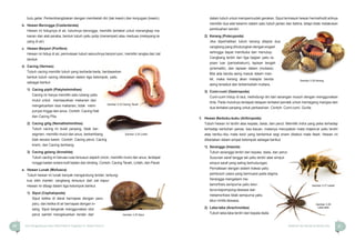 Modul 2 IPA Paket B Makhluk dan Benda di Sekitar Kita.pdf