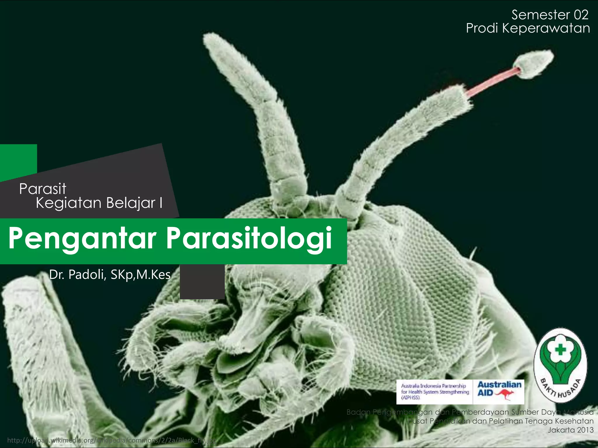 Pengantar Parasitologi | PPTX