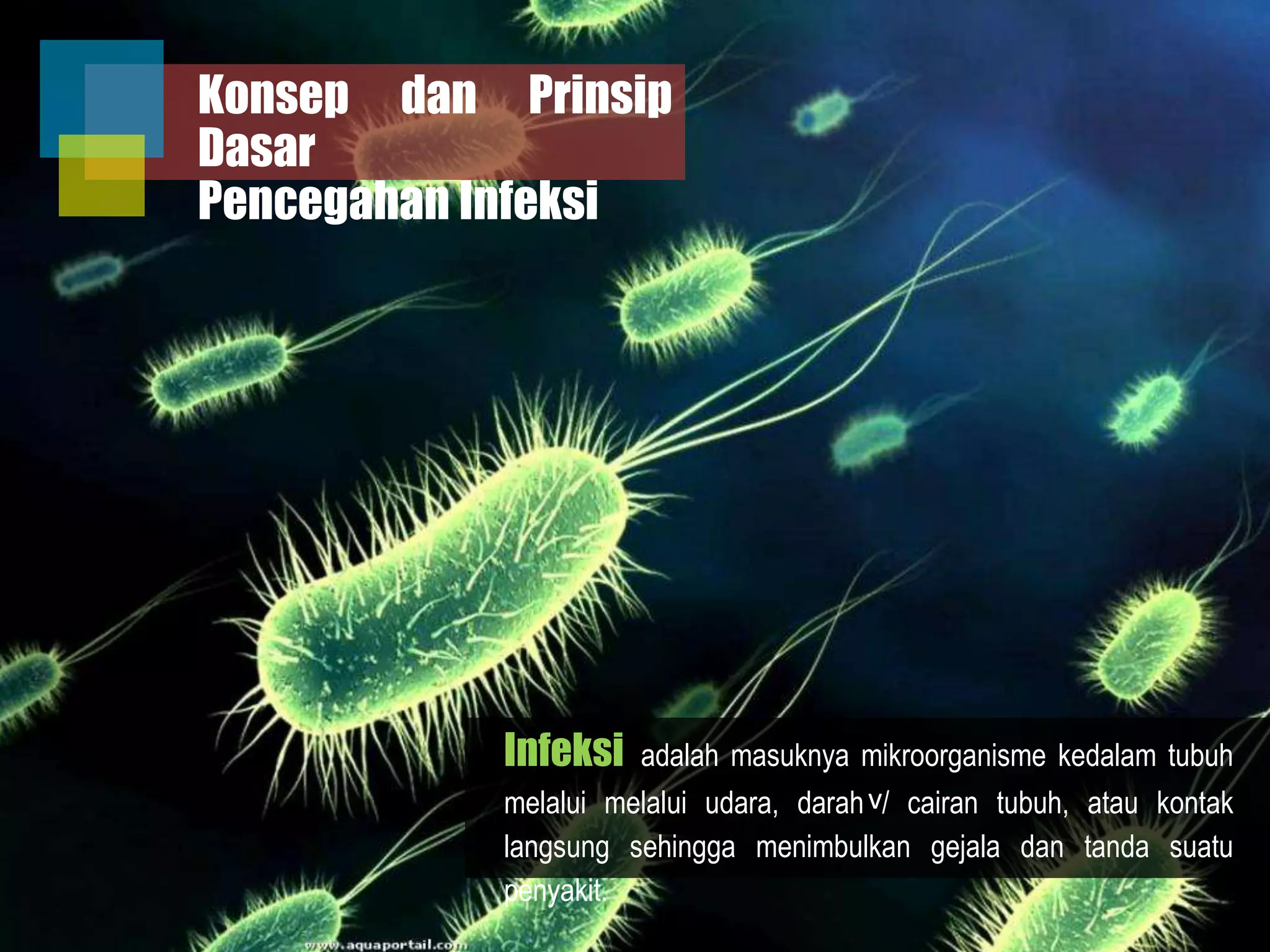 Pencegahan Infeksi dalam Praktik Kebidanan | PPTX