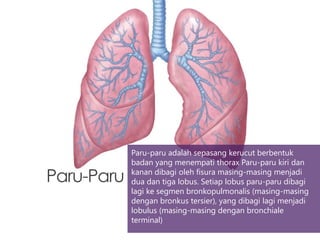 Anatomi Fisiologi Sistem Pernafasan (Respirasi) | PPTX