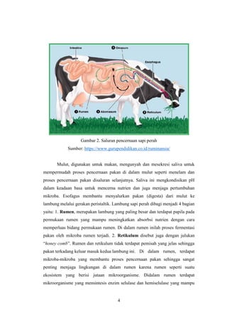 AT Modul 2 kb 3 | PDF