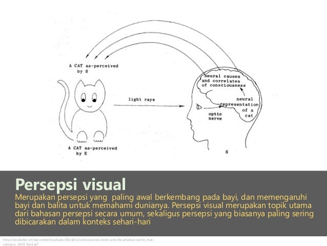 Modul 2 kb 3 persepsi manusia