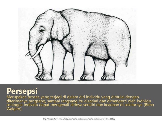persepsi manusia