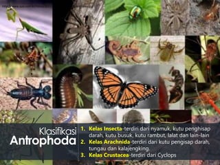Entomologi dan Mikologi | PPTX
