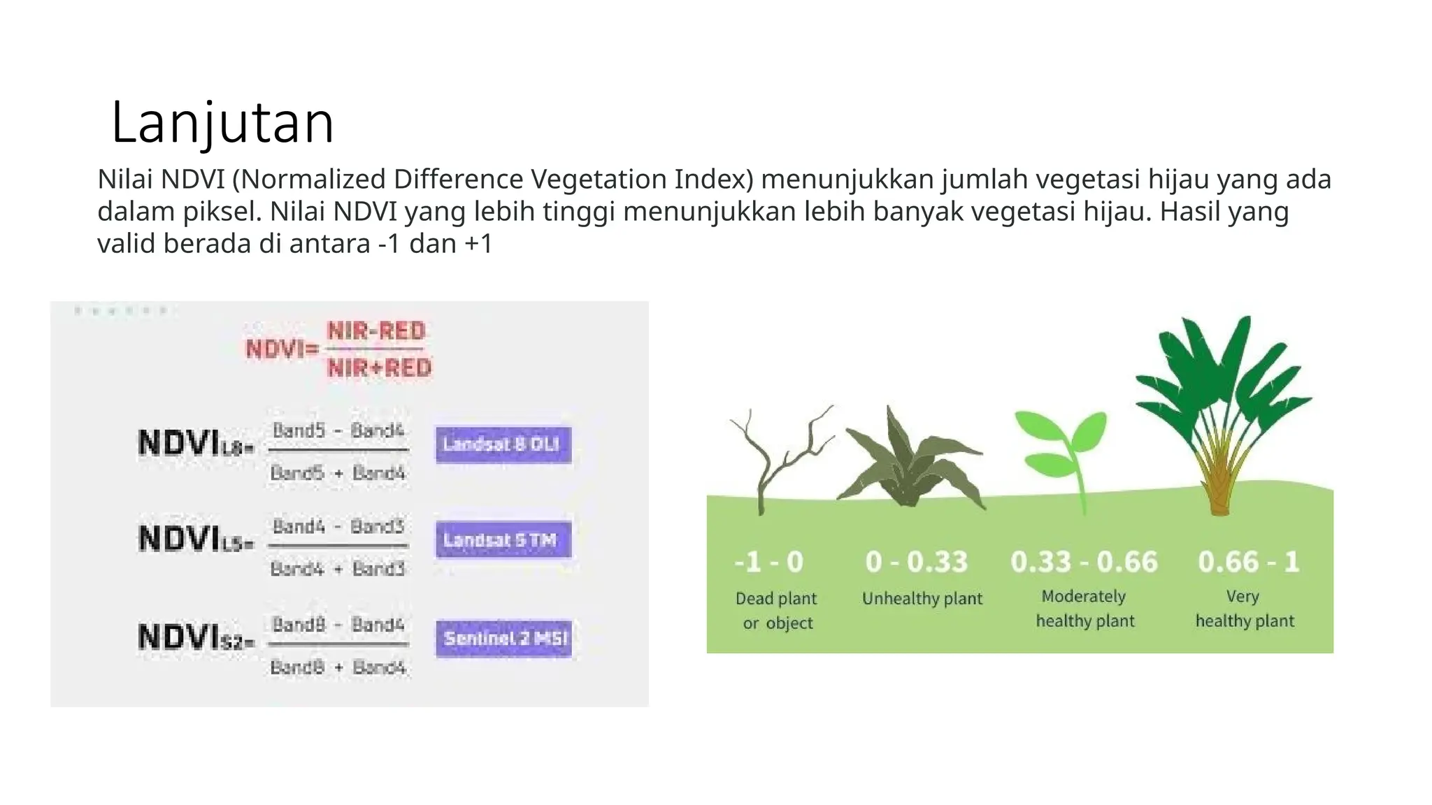 Modul 2 NDVI PENGINDERAAN JAUH DAN TUTORIAL | PPTX