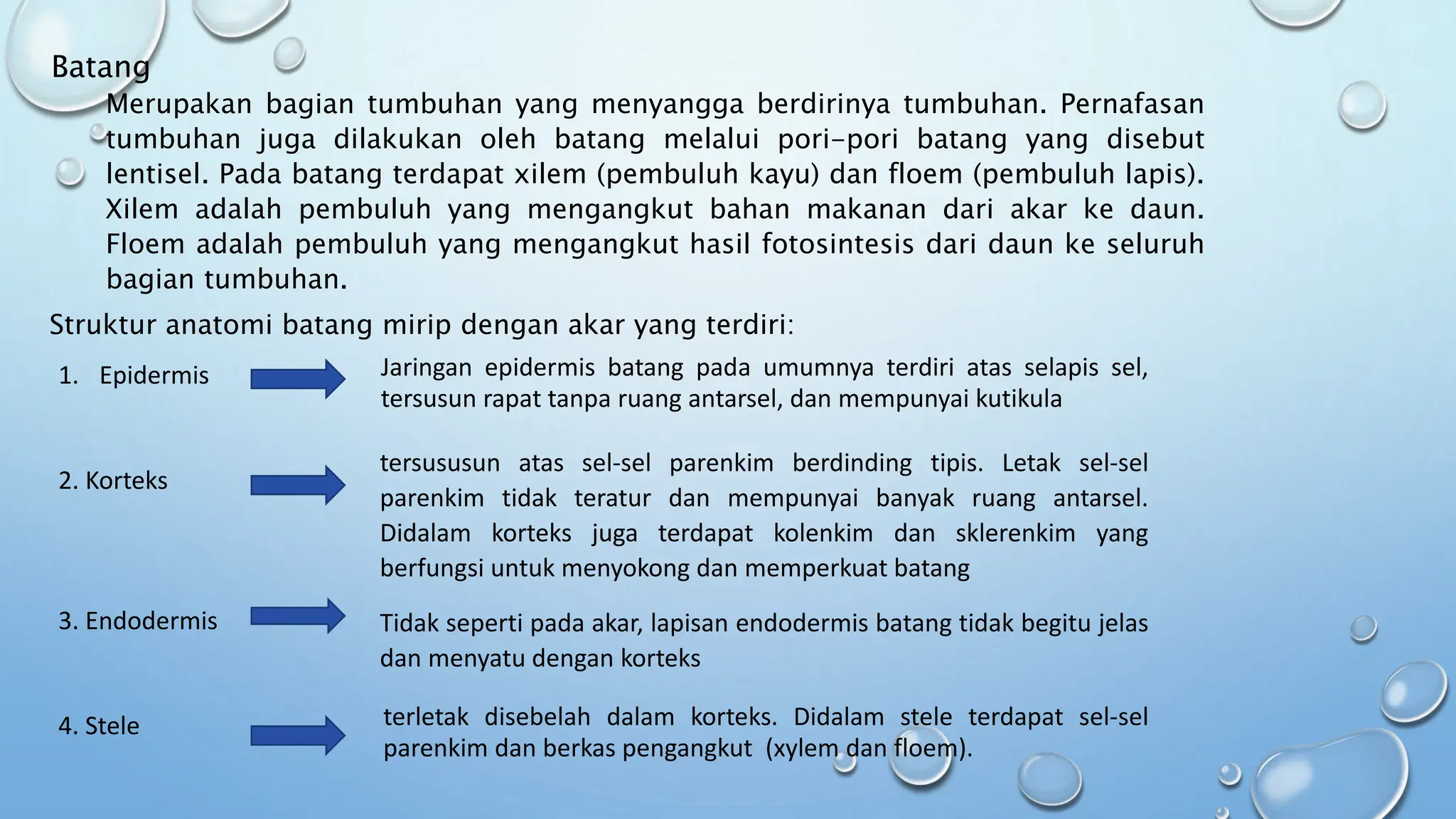 UT PGSD PDGK4103 MODUL 2 STRUKTUR TUBUH Pada Makhluk Hidup | PPTX