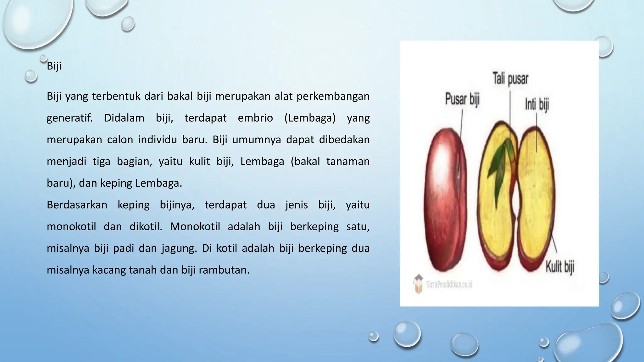 UT PGSD PDGK4103 MODUL 2 STRUKTUR TUBUH Pada Makhluk Hidup | PPTX