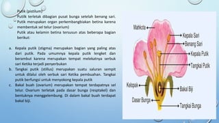 UT PGSD PDGK4103 MODUL 2 STRUKTUR TUBUH Pada Makhluk Hidup | PPTX