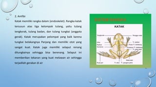 UT PGSD PDGK4103 MODUL 2 STRUKTUR TUBUH Pada Makhluk Hidup | PPTX