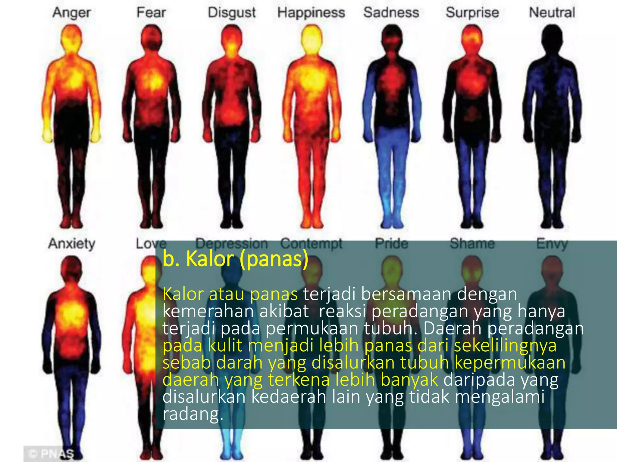 Radang dan mekanisme proses Infeksi | PPTX