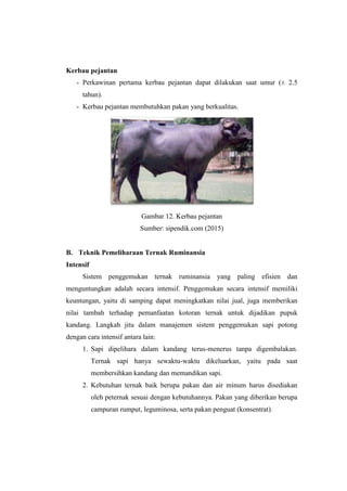 AT Modul 3 kb 1 | PDF