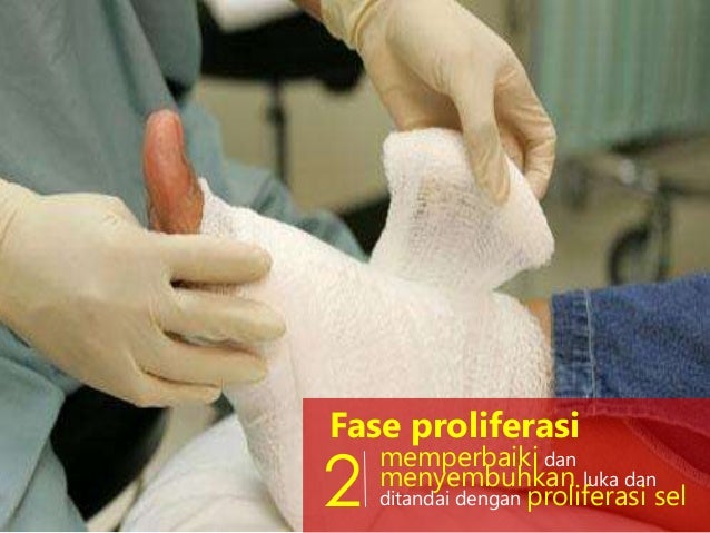 Modul 3 kb 1 penanganan luka cedera