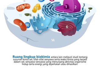 Biokimia bagi Perawat | PPTX
