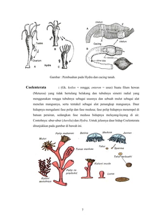 Modul 3 keanekaragaman hewan | PDF