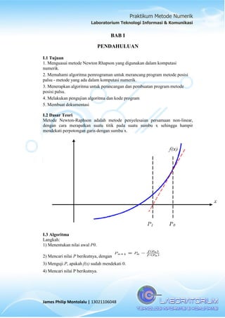 Modul3 metode newton raphson praktikum metode numerik | PDF