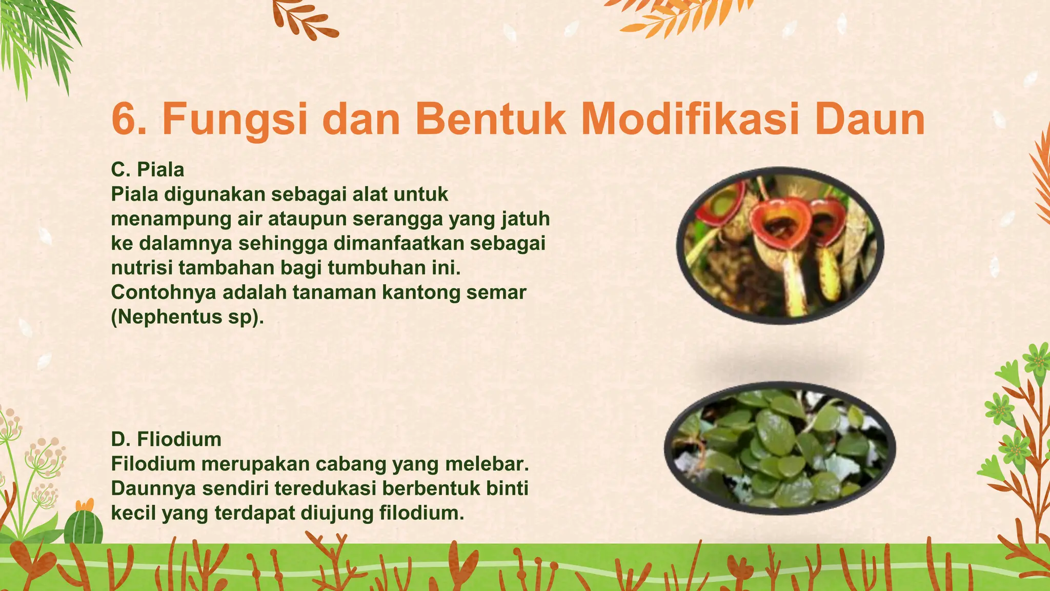 MODUL 3_ORGAN_SISTEM ORGAN_PDGK4103.pptx