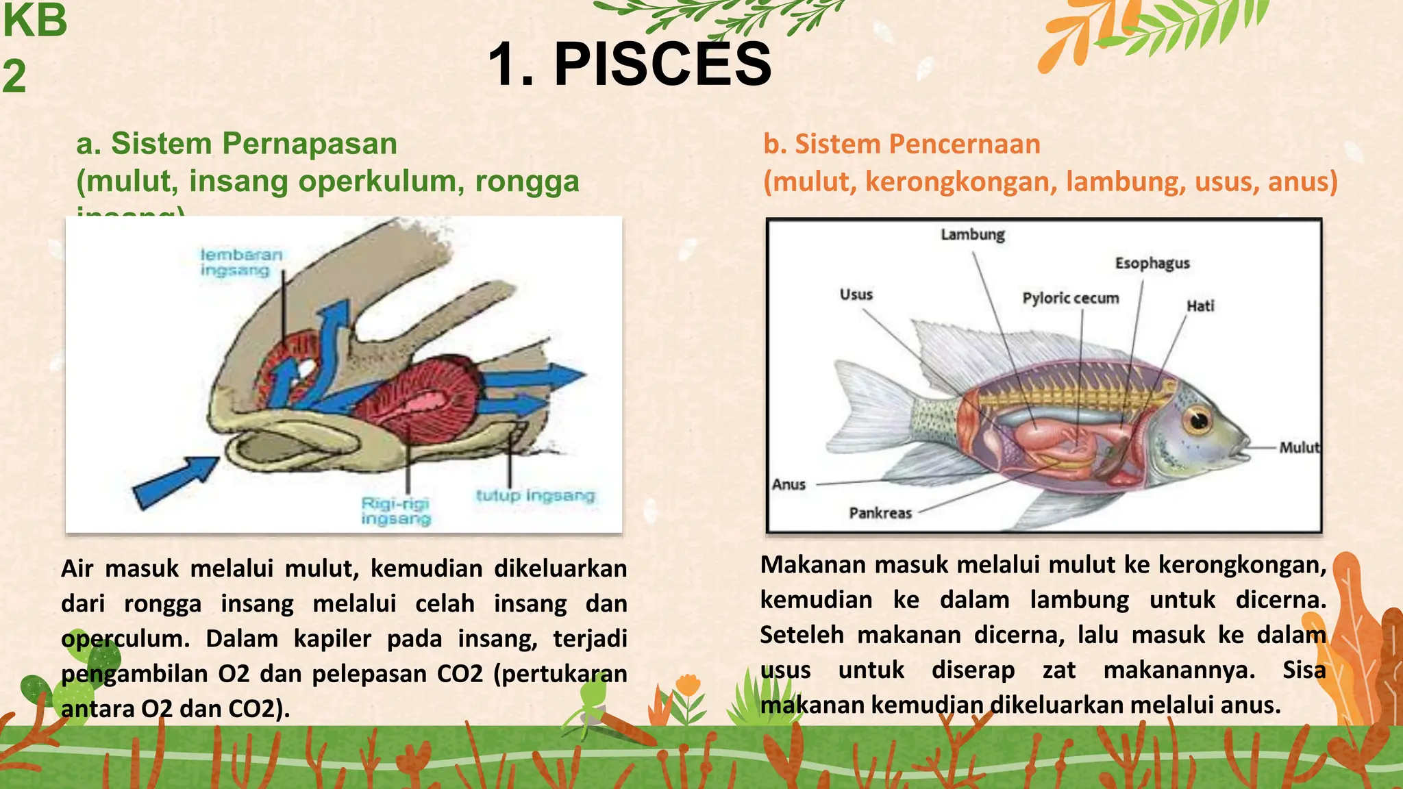 MODUL 3_ORGAN_SISTEM ORGAN_PDGK4103.pptx