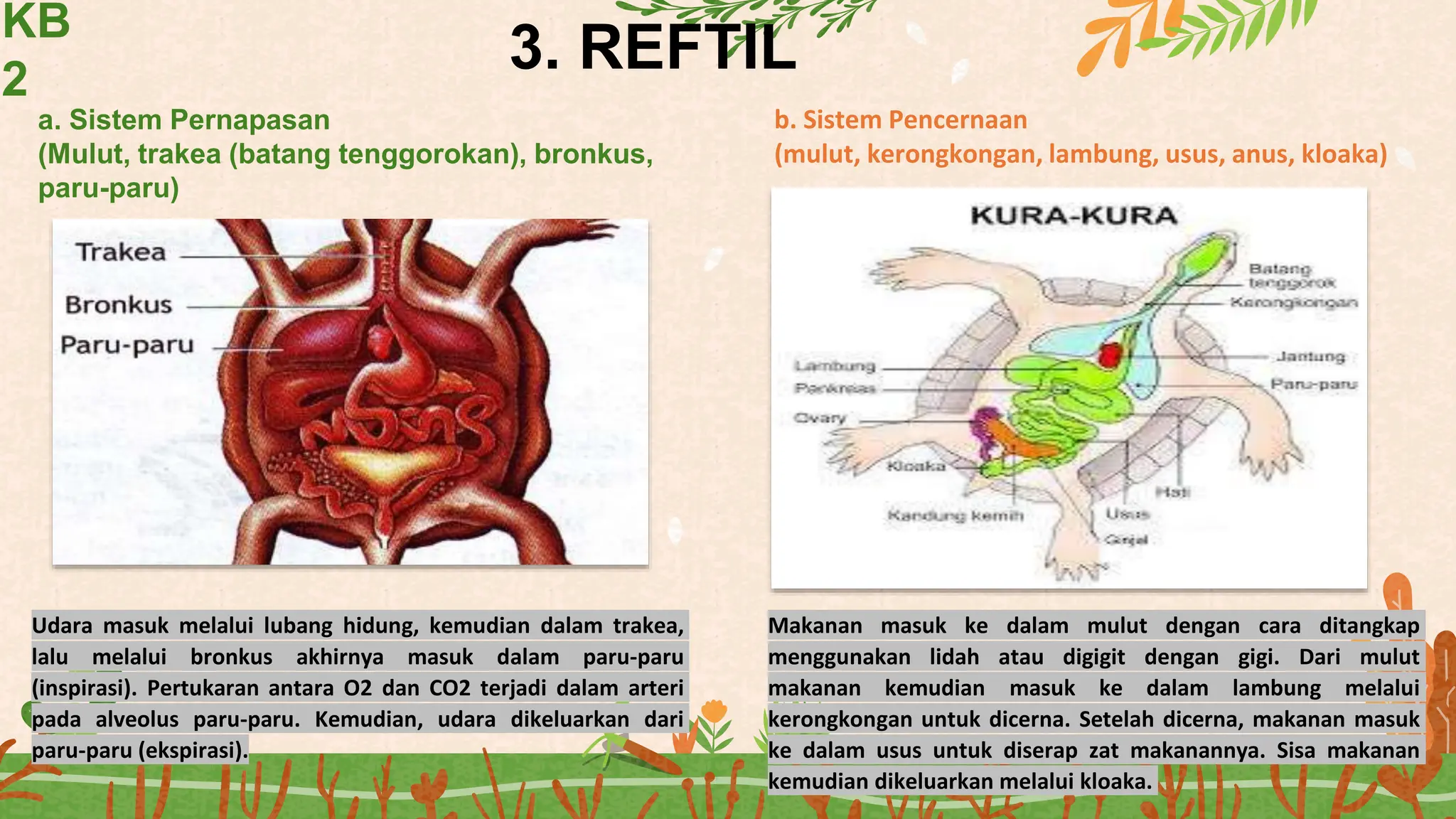MODUL 3_ORGAN_SISTEM ORGAN_PDGK4103.pptx