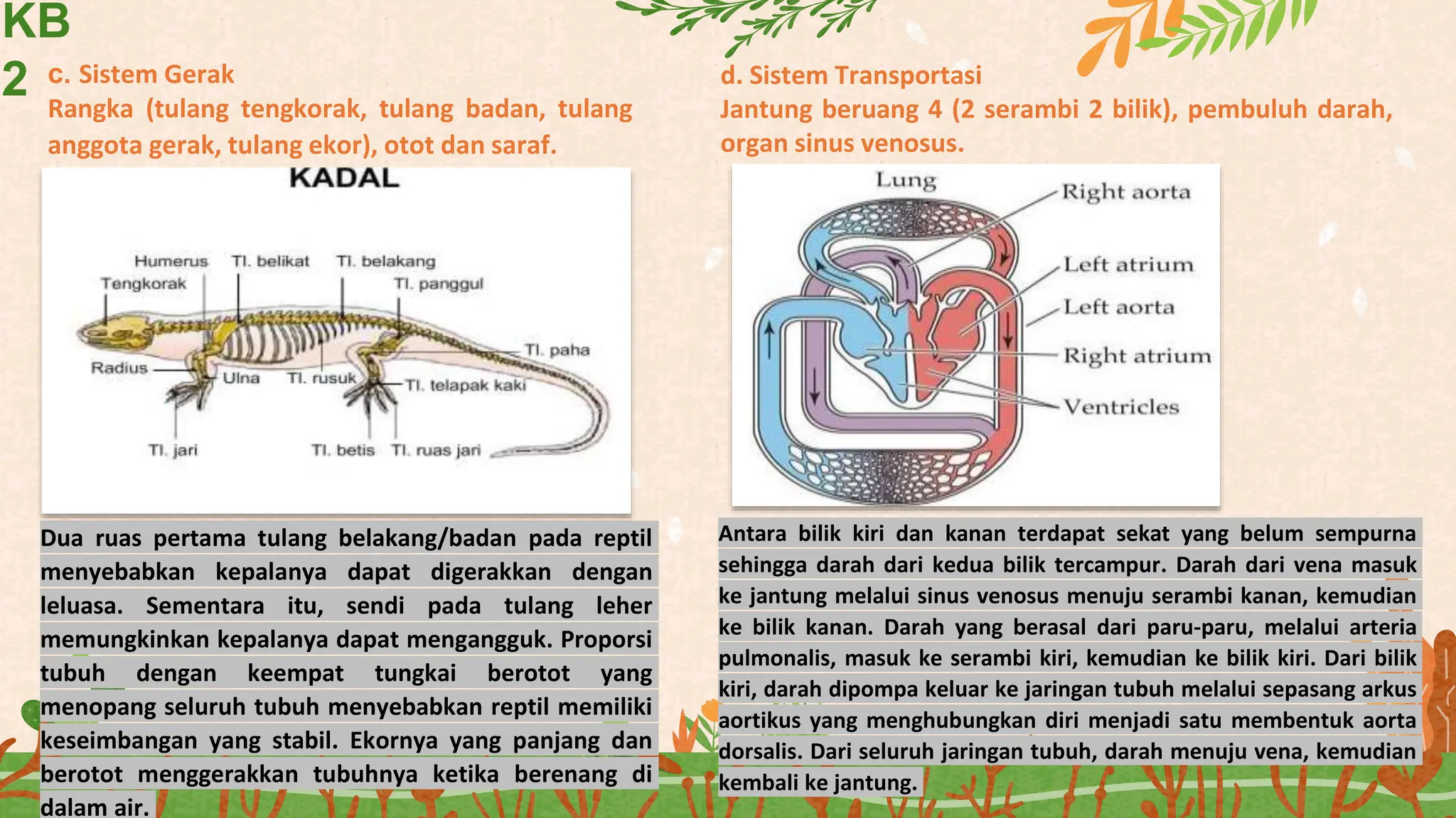 MODUL 3_ORGAN_SISTEM ORGAN_PDGK4103.pptx