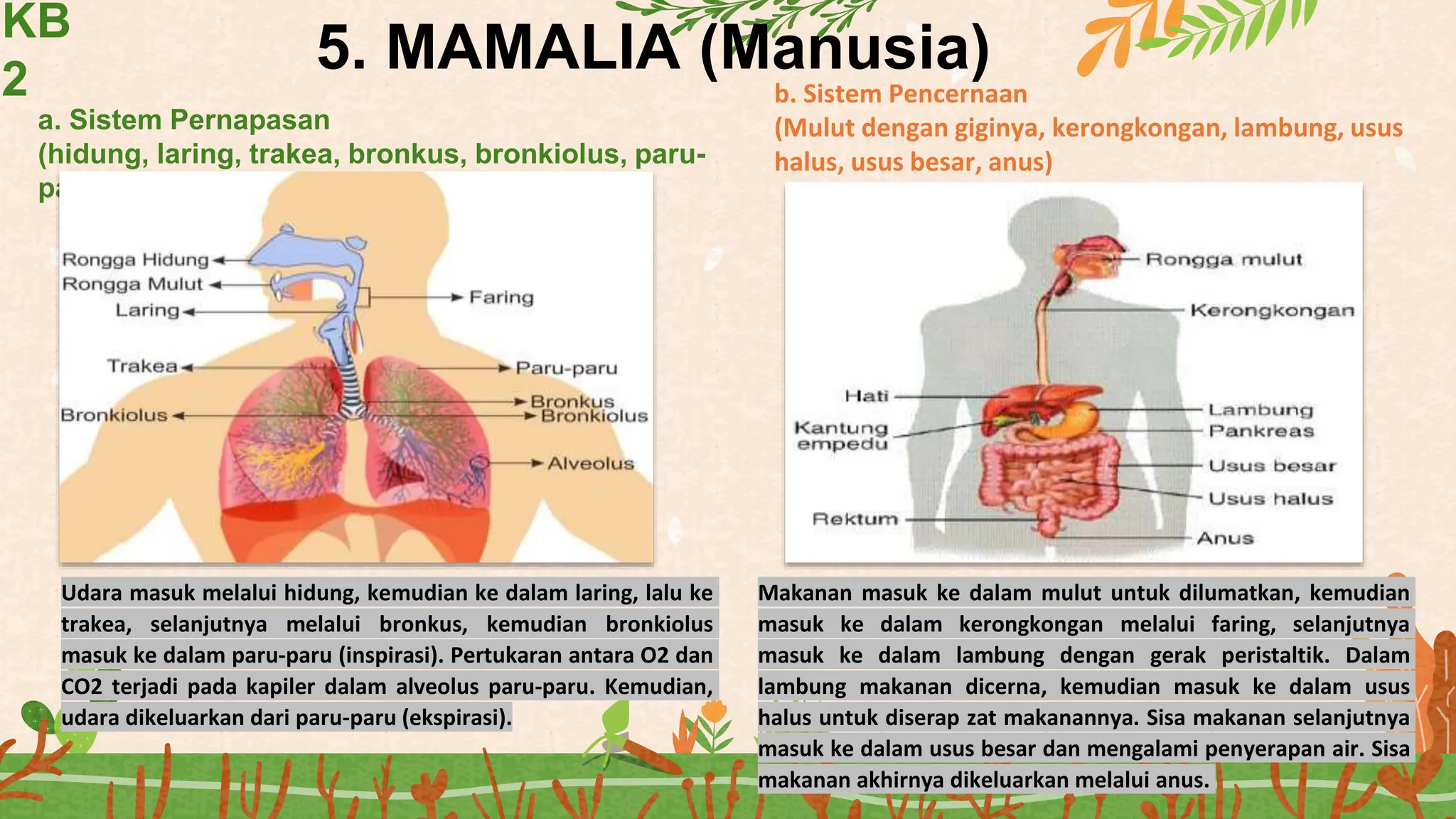 MODUL 3_ORGAN_SISTEM ORGAN_PDGK4103.pptx