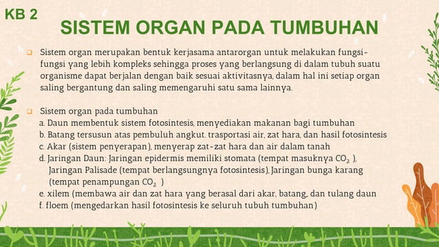 MODUL 3_ORGAN_SISTEM ORGAN_PDGK4103.pptx