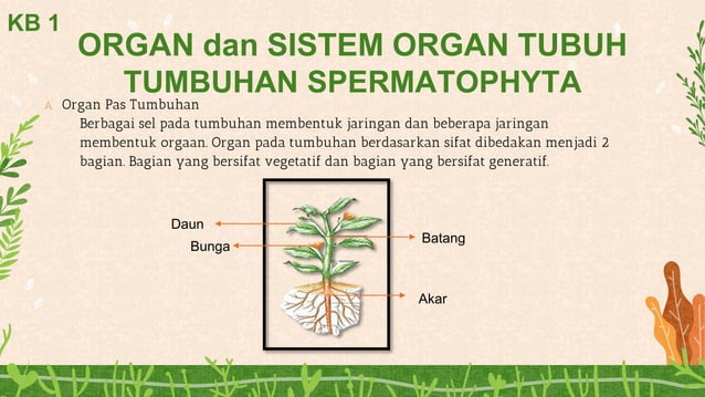 MODUL 3_ORGAN_SISTEM ORGAN_PDGK4103.pptx