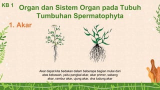 MODUL 3_ORGAN_SISTEM ORGAN_PDGK4103.pptx