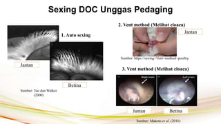 AT Modul 4 kb 1 | PPTX