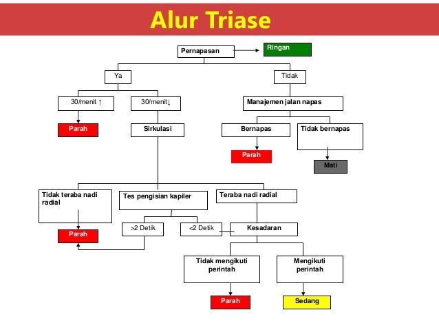 Modul 4 kb 1 3 t bencana (triase treatment-transportation)
