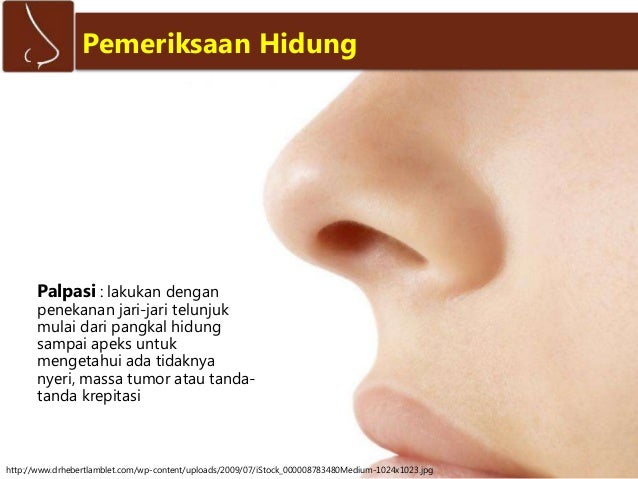 Modul 4 kb1 pemeriksaan telinga hidung tenggorokan Modul 4 kb1 pemeriksaan telinga hidung tenggorokan