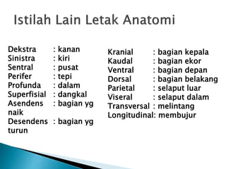 Modul 5 anatomi dasar dan fisiologi sistim organ tubuh manusia | PPT
