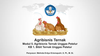 AT Modul 5 kb 1 | PPTX