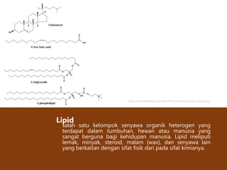Modul 6 biologi kb 3 | PPTX