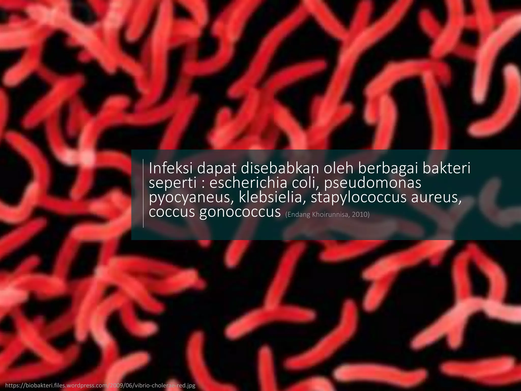 Modul 6 kb 5 asuhan neonatus dan bayi dengan bisulan (furunkel) dan ...