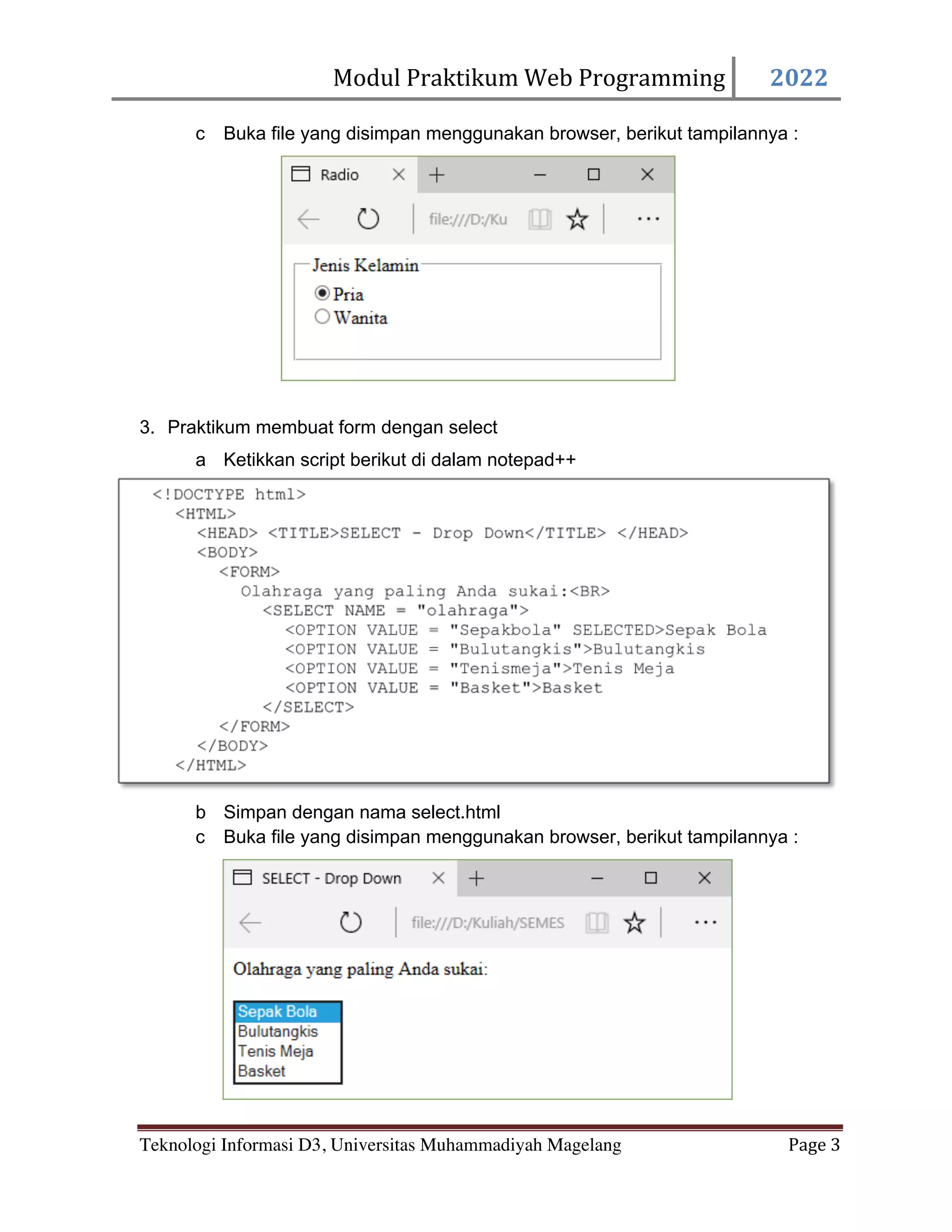 Web Programming Form | PDF