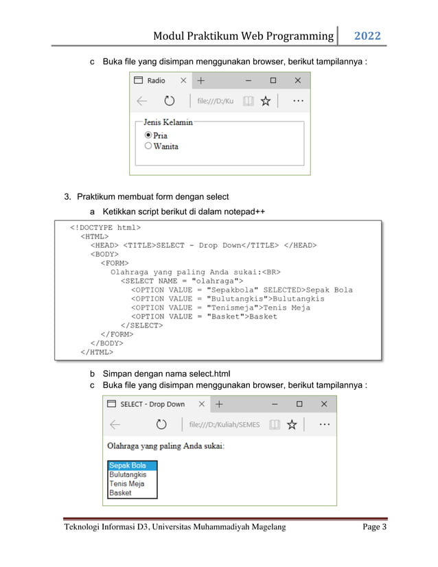 Web Programming Form | PDF