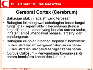 Kecederaan Kepala & Tulang Belakang | PPS