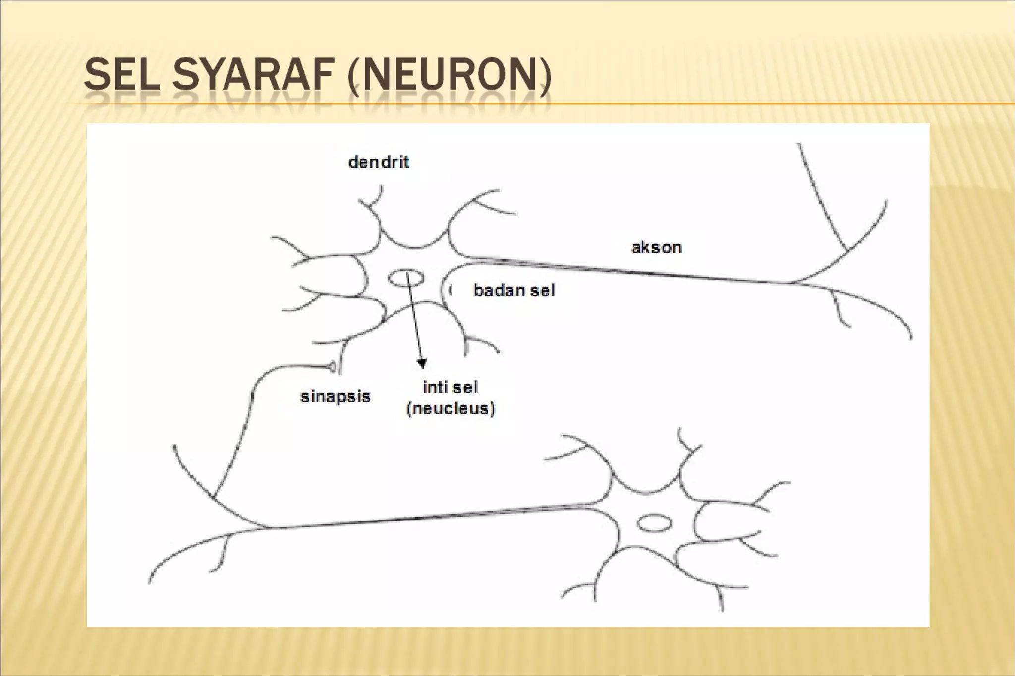 Modul 8 - Jaringan Syaraf Tiruan (JST) | PPT