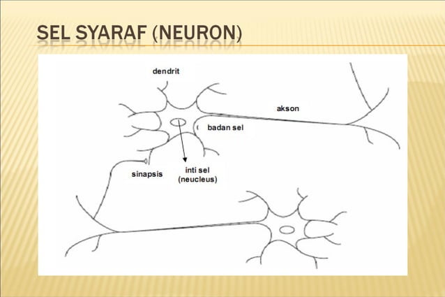 Modul 8 - Jaringan Syaraf Tiruan (JST) | PPT