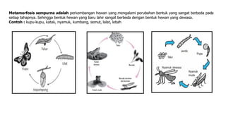 Modul ajar IPAS kelas 3 metamorfosis makhluk hidup.pdf