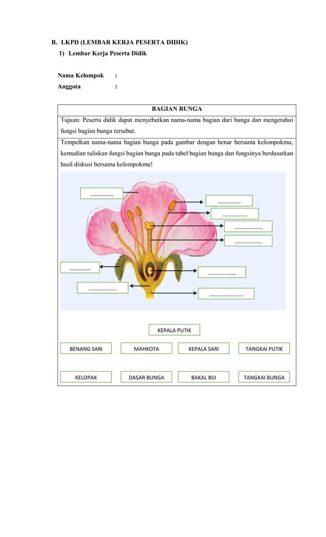 Modul Ajar Buk Nur Bunga Sempurna dan Tidak Sempurna.pdf