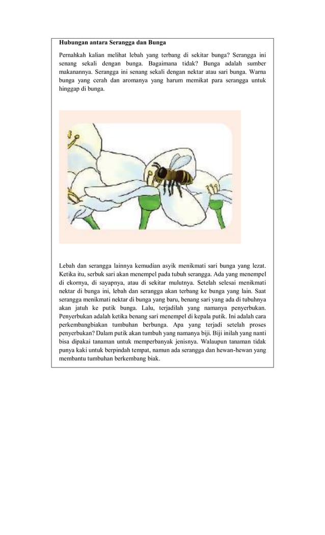 Modul Ajar Buk Nur Bunga Sempurna dan Tidak Sempurna.pdf