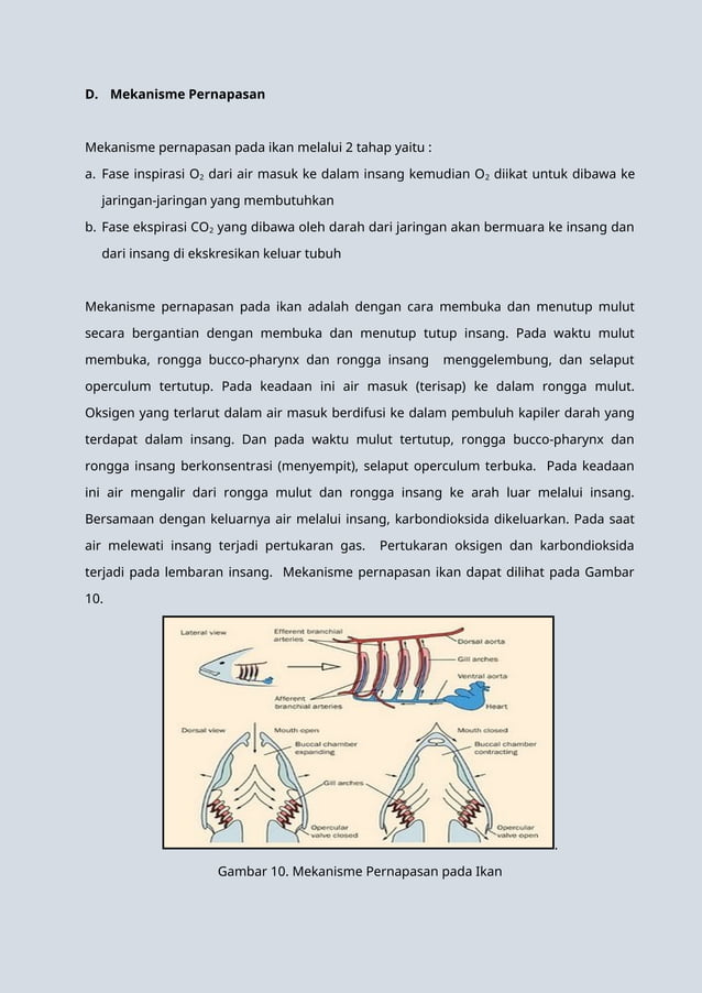 Modul Ajar_Dasar-Dasar Agribisnis Perikanan_Elemen 7.docx