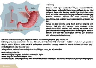 Modul Ajar Ilmu Pengetahuan Alam dan Sosial (IPAS) - Menyimulasikan ...