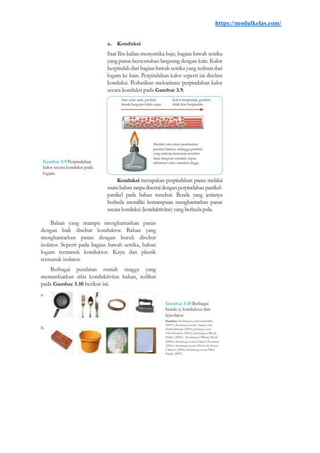 Modul Ajar IPA Kelas 7 Fase D Kurikulum Merdeka | PDF