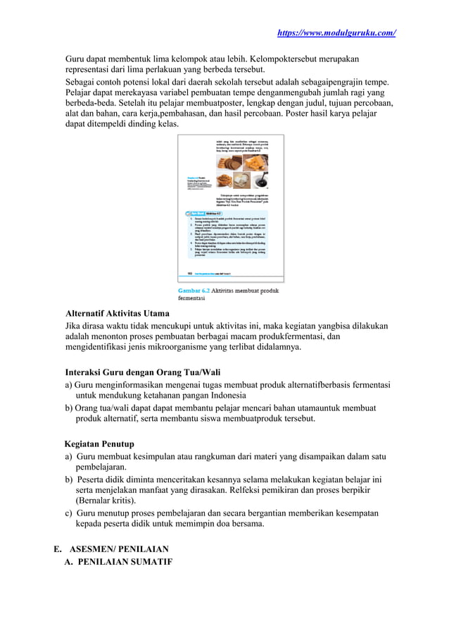 Modul Ajar IPA Kelas 9 Fase D Kurikulum Merdeka | PDF