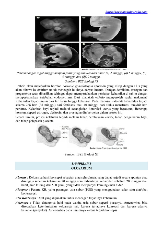 Modul Ajar Biologi Kelas 11 Fase F Kurikulum Merdeka | PDF