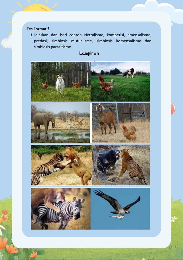 Modul Ajar ekosistem SMA | PDF